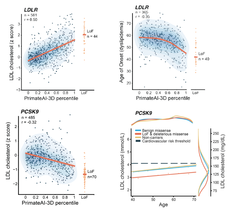 Improving genetic risk prediction and drug target discovery using primate DNA and advanced ...