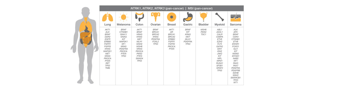 TruSight Oncology 500 | Assay for pan-cancer biomarkers in DNA and RNA